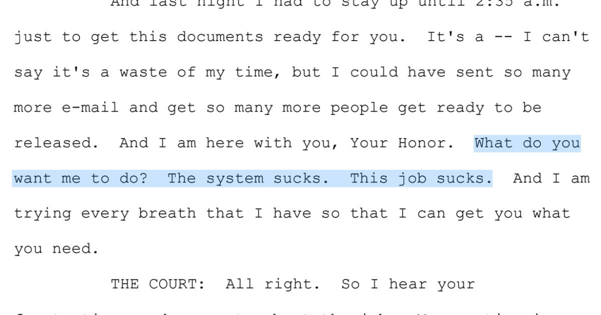 DOJ Lawyer Julie Le to Federal Judge: “This Job Sucks” | Balls and Strikes